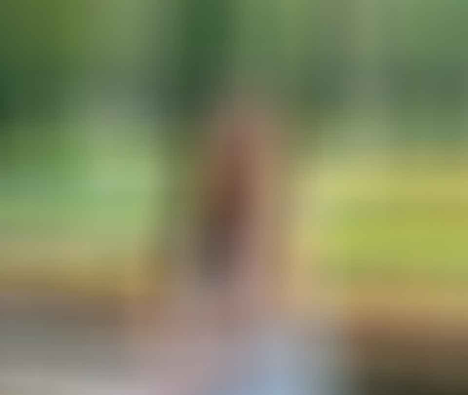 Comparing Contact Lens Options for Optimal Eye Care - Specialty Vision