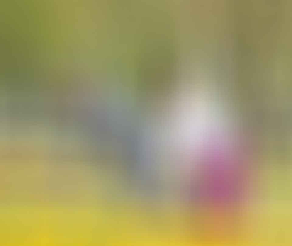 Understanding Spatial Disorientation: VMSS and Visual Neglect ...