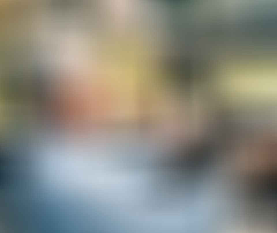 Understanding Branch Retinal Vein Occlusion (BRVO) and Its Effects on ...