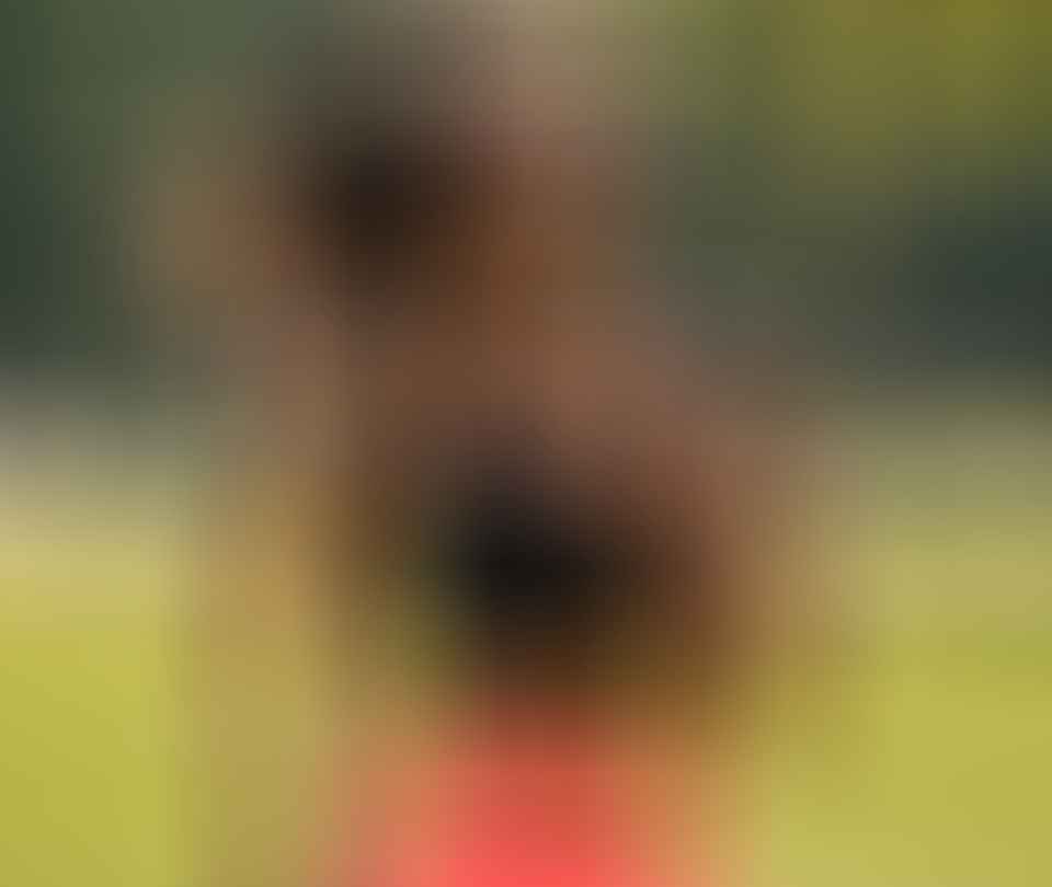 Understanding Visual Memory and Visualization Skills - Specialty Vision