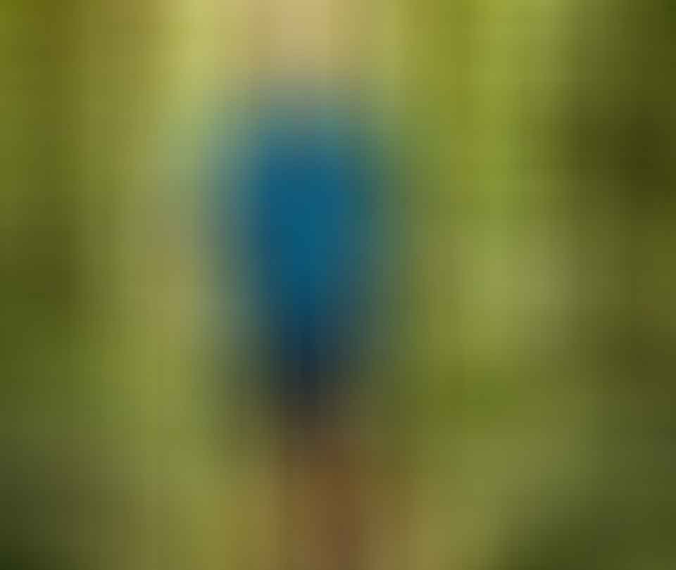 How Mold and Neurotoxin Exposure Impacts Vision - Specialty Vision