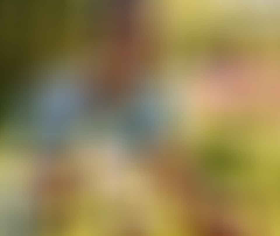 Understanding Depth Perception and Stereo Vision - Specialty Vision