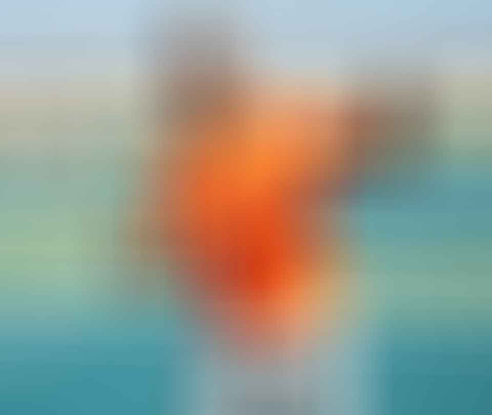 Understanding Punctate Inner Choroidopathy: Symptoms and Treatment ...