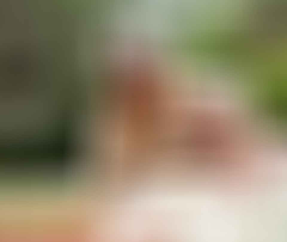 Understanding Congenital Hypertrophy of the RPE - Specialty Vision