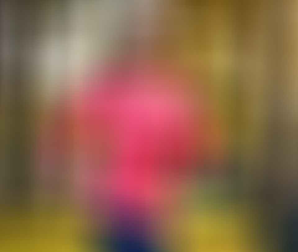 Understanding the J&J TECNIS Odyssey IOL for Cataract Surgery ...